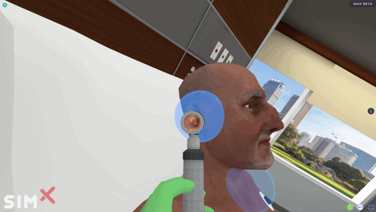 Head-to-Toe Nursing Assessment VR Medical Simulation