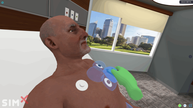 Head-to-Toe Nursing Assessment VR Medical Simulation